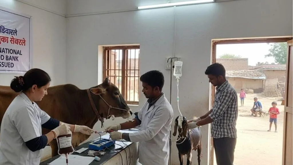 India introduces Guidelines for Animal Blood Transfusion and Blood ...