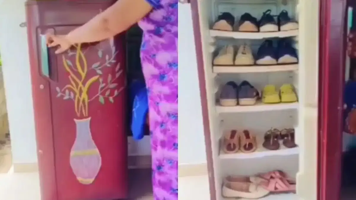 Woman Transforms Old Fridge into Shoe Rack, Internet Amazed - english ...